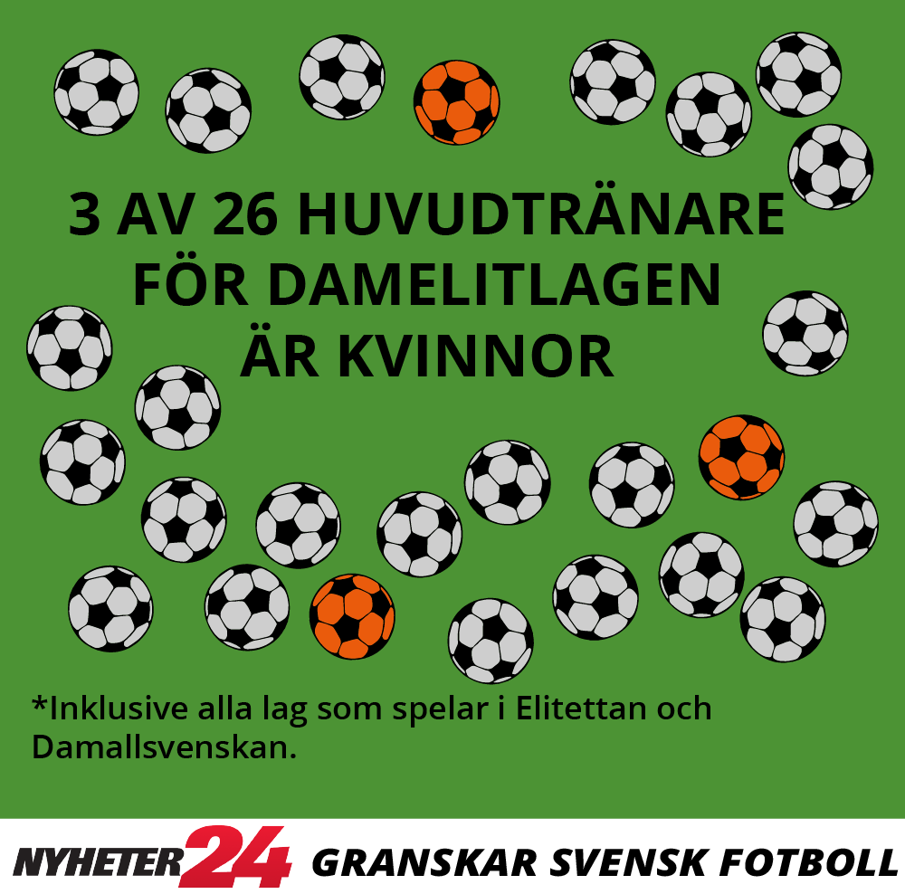 Så är könsfördelningen inom svensk elitfotboll